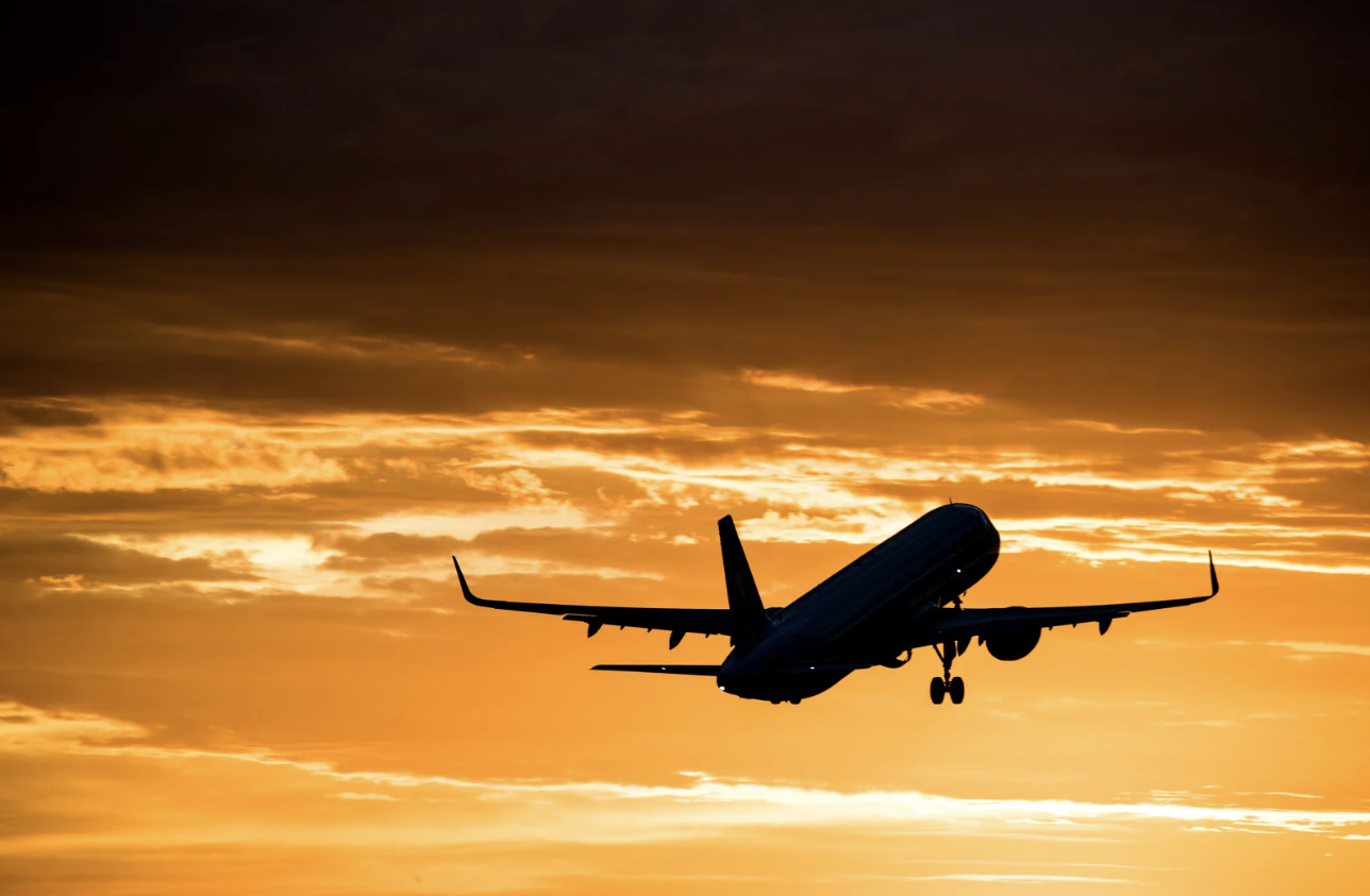 How to Choose the Right IVF Transport Company for Frozen Embryos, Eggs ...